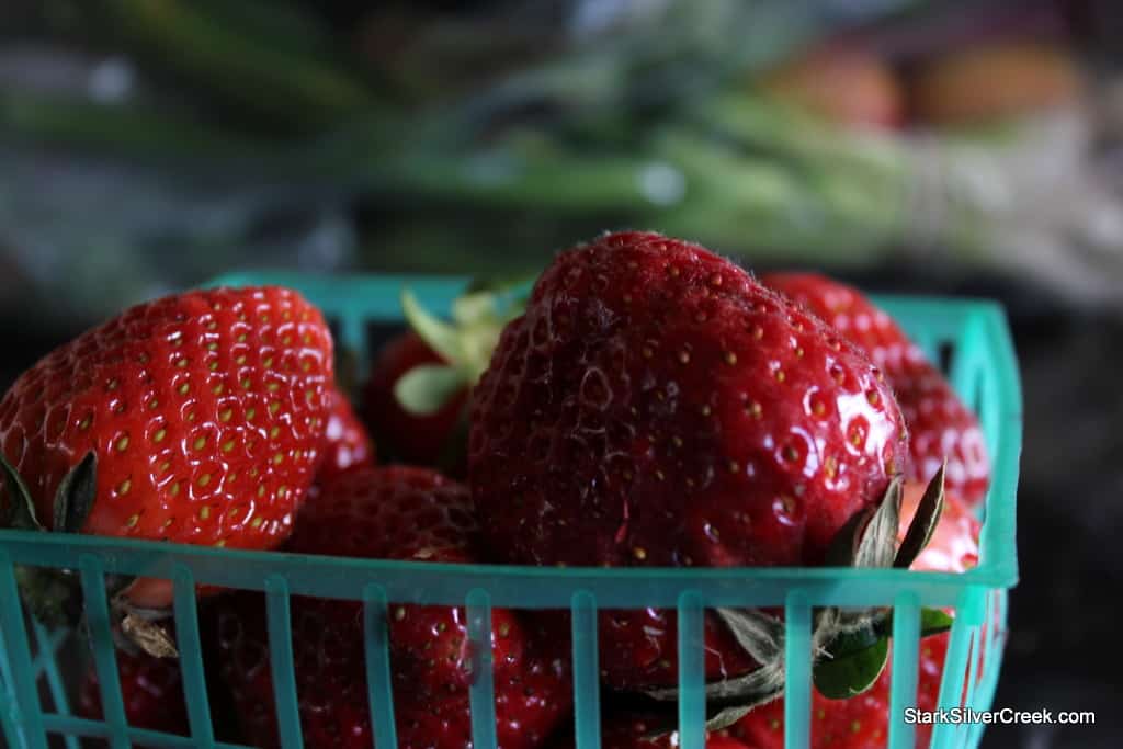 Live Earth Farm: Arrival of the first shipment of organic, locally ...