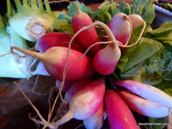 'Much ado about radishes' Roasted Root Vegetable Recipe | Stark Insider