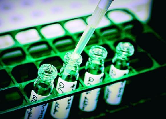 Review: The Human Experiment at Mill Valley Film Festival | Stark Insider