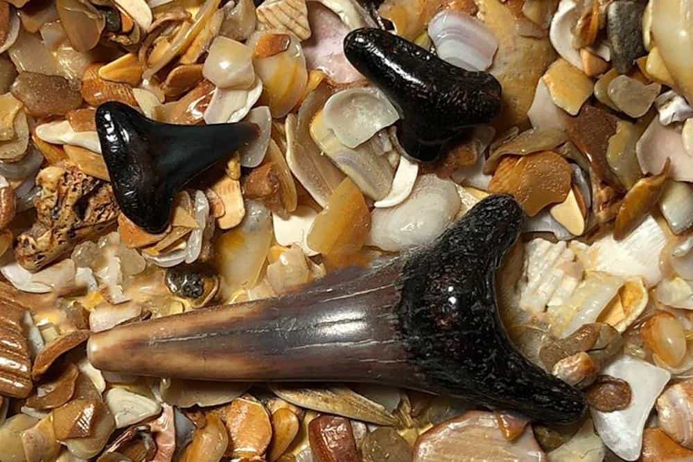 Fabulous Two-fer Girlfriend Getaway to Florida’s Historic Coast Part 1 ...